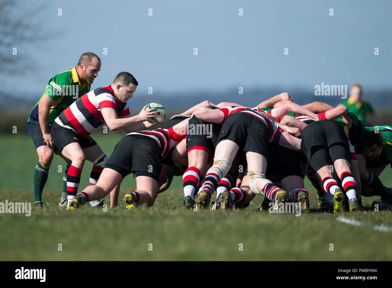 Preparing to put ball into scrum hi-res stock photography and images ...