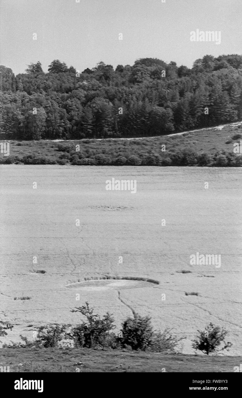 Circles in circle Black and White Stock Photos & Images - Alamy