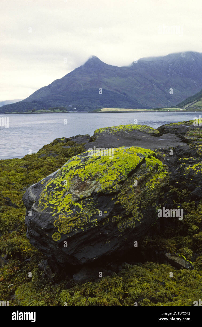 Edge cover hi-res stock photography and images - Alamy