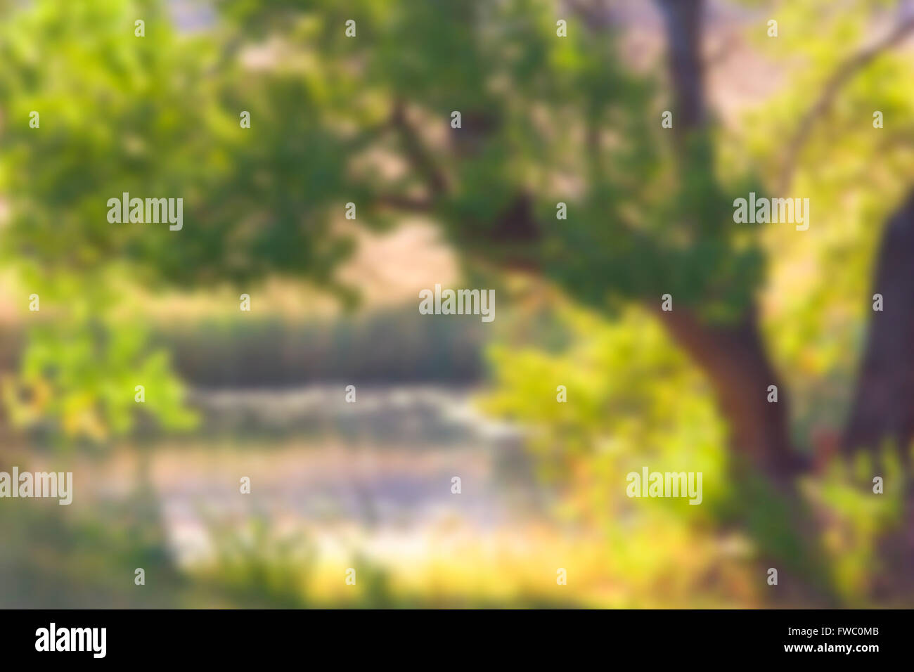 Blurred stream and forest for background use Stock Photo - Alamy