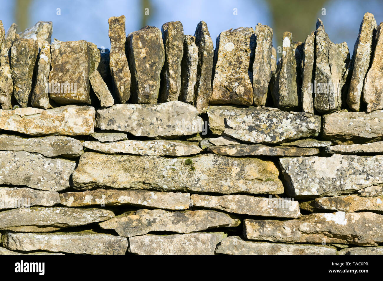 Detail of a cotswoldstone wall Stock Photo - Alamy