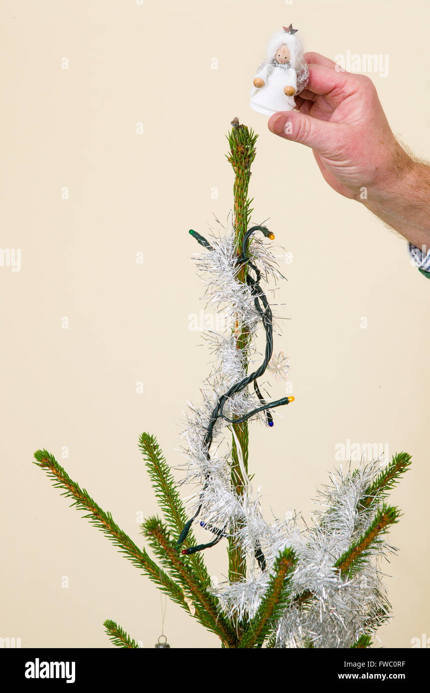 Hand putting angel on the top of a christmas tree Stock Photo - Alamy