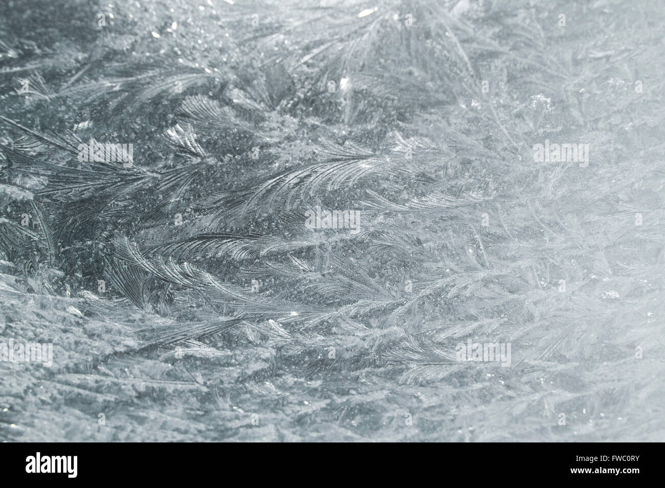 Detail frost on a window Stock Photo - Alamy
