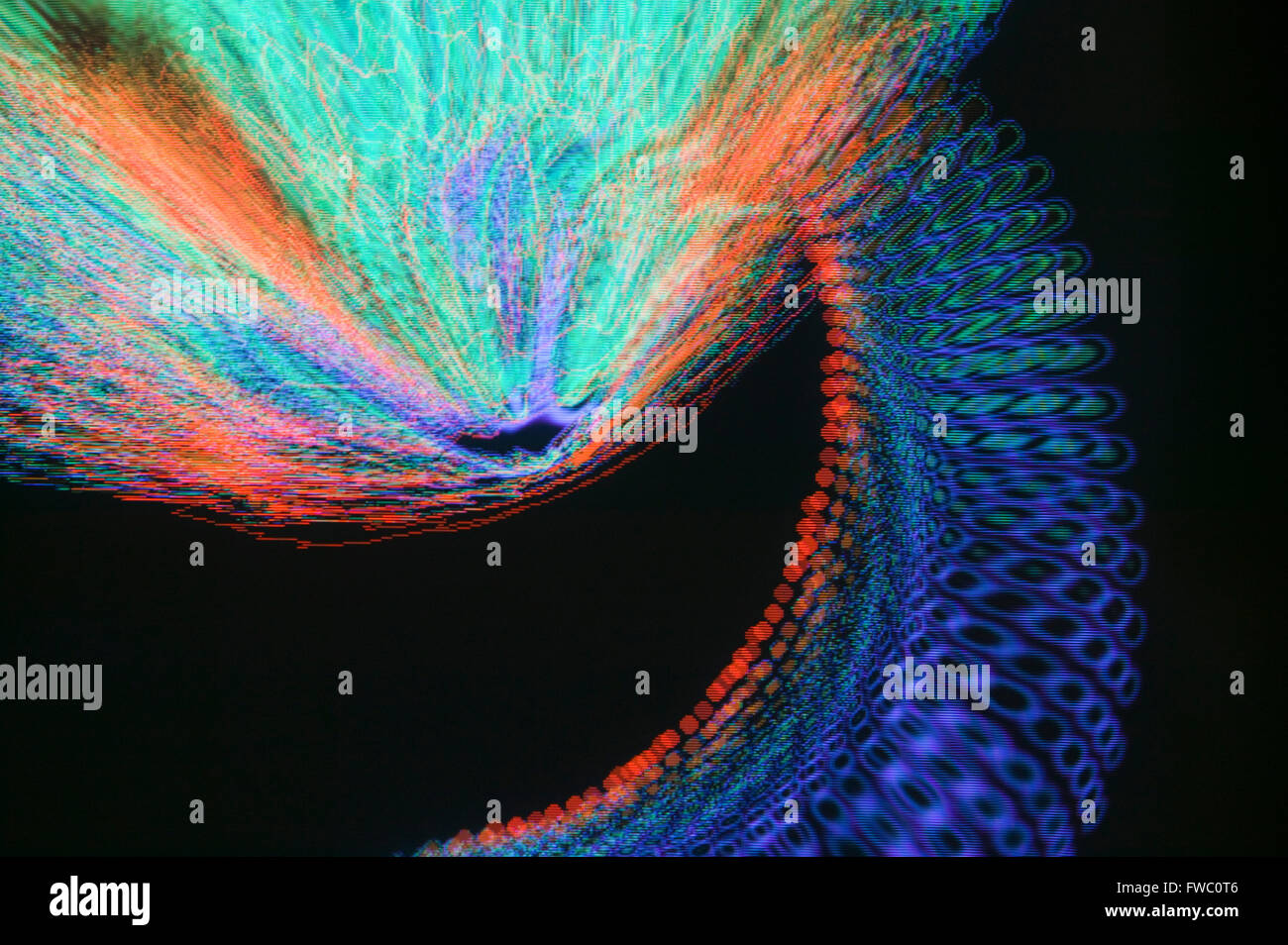 Fractal type patterns produced by a computer on a screen and shown ...