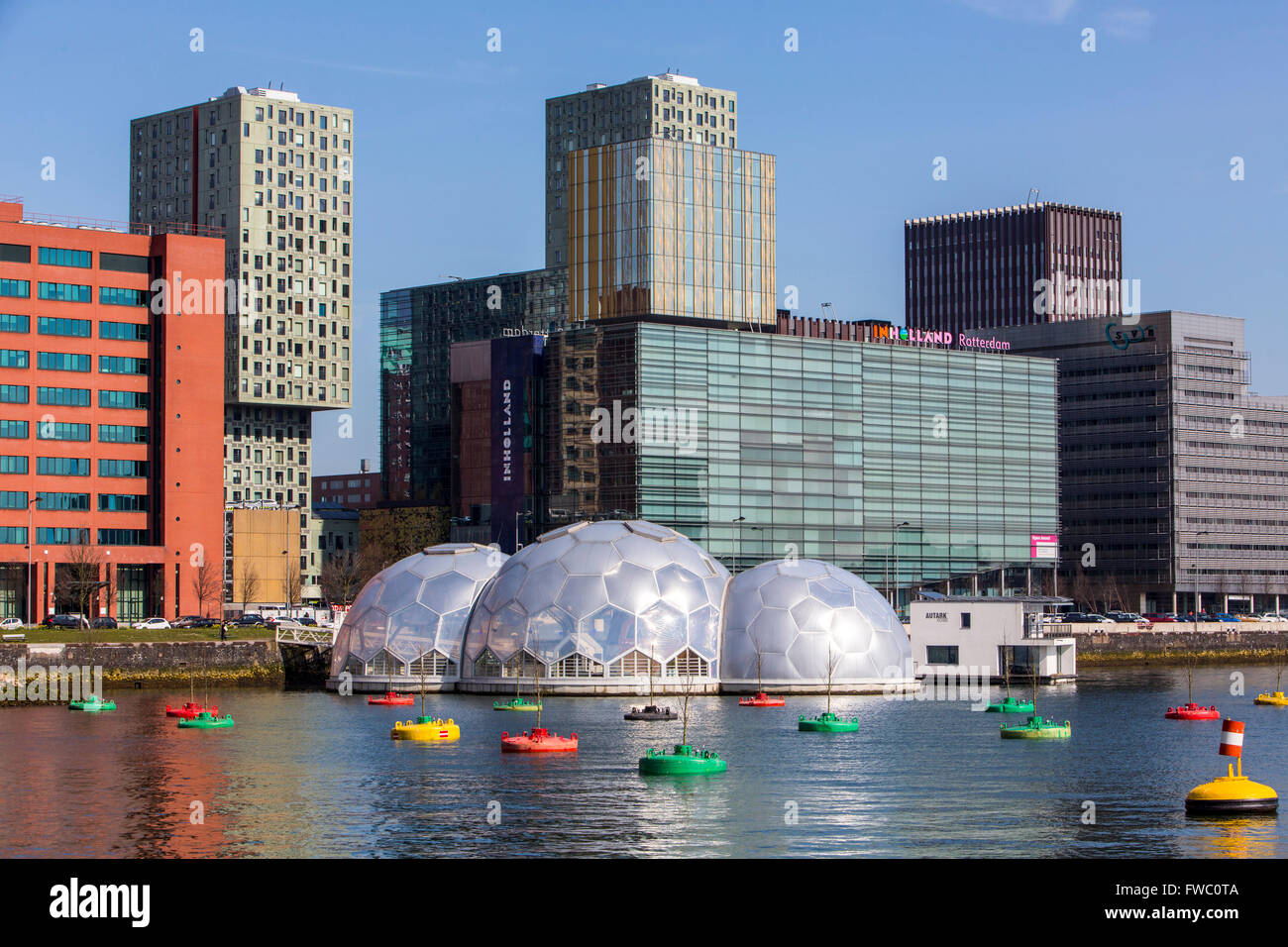 Art Action Dobberend Bos, of artists from Rotterdam, a forest of ...