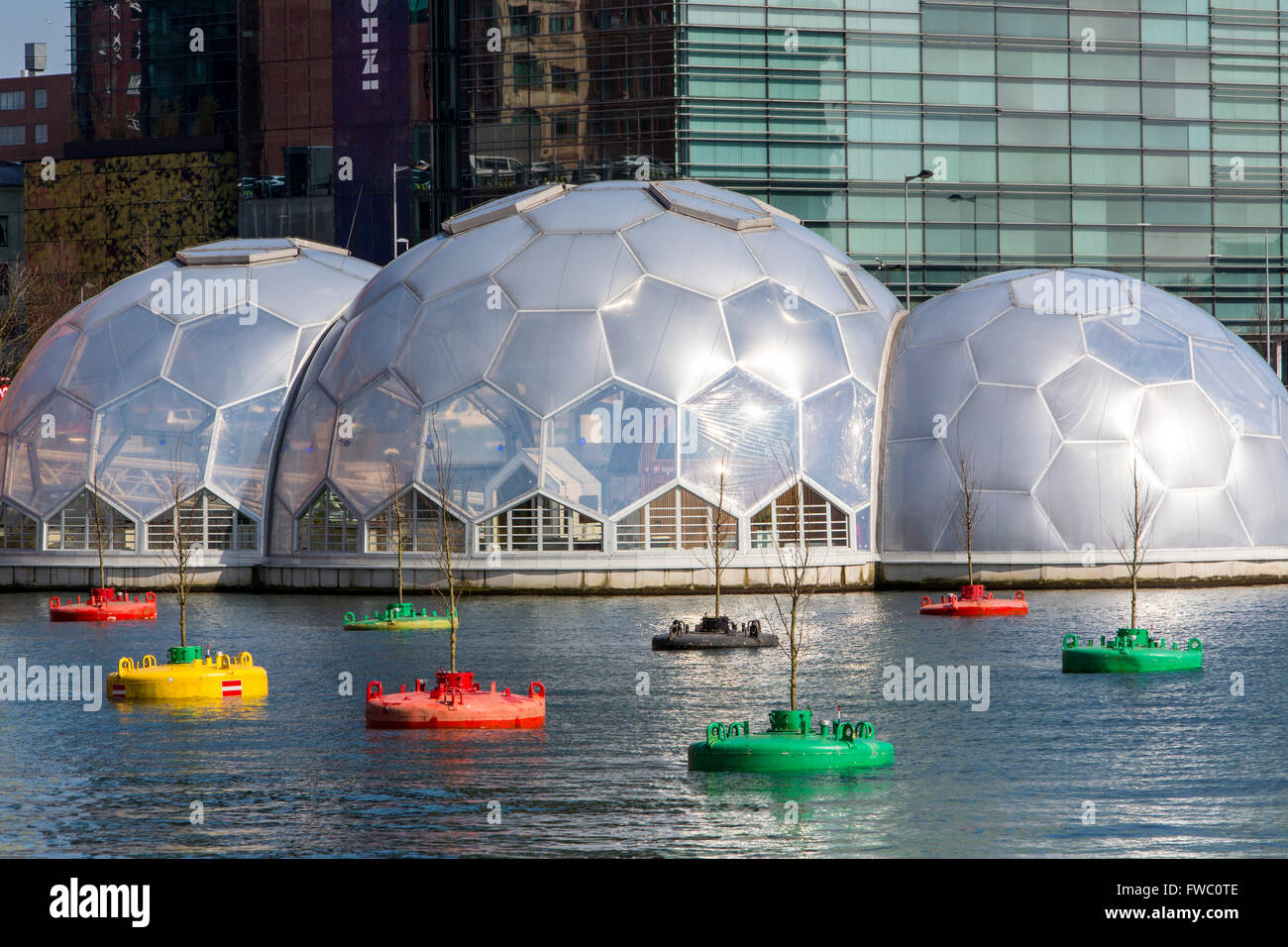 Art Action Dobberend Bos, of artists from Rotterdam, a forest of ...