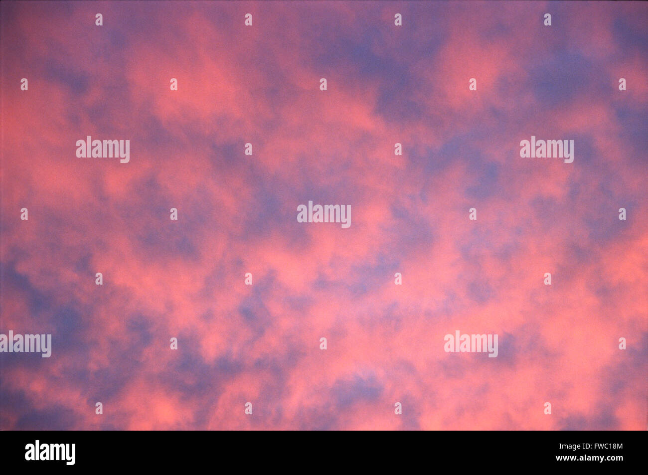 Deep red hue hi-res stock photography and images - Alamy