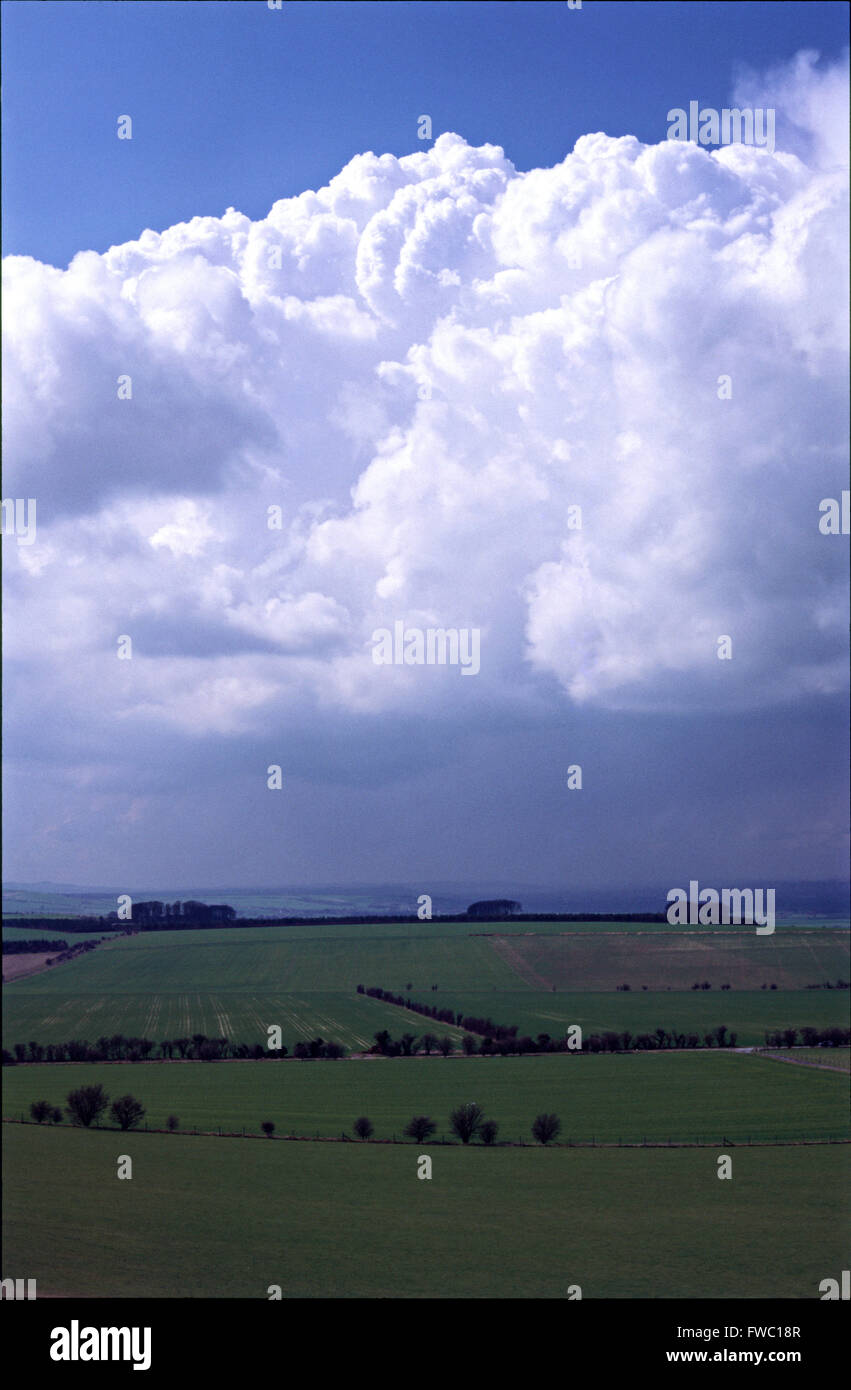 Billowing cumulonimbus clouds from hi-res stock photography and images ...