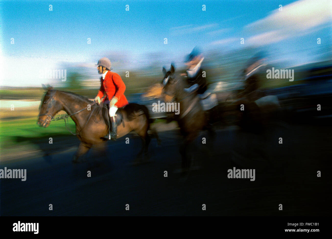 The Quorn hunt riding down a country lane in Licestershire Stock Photo ...