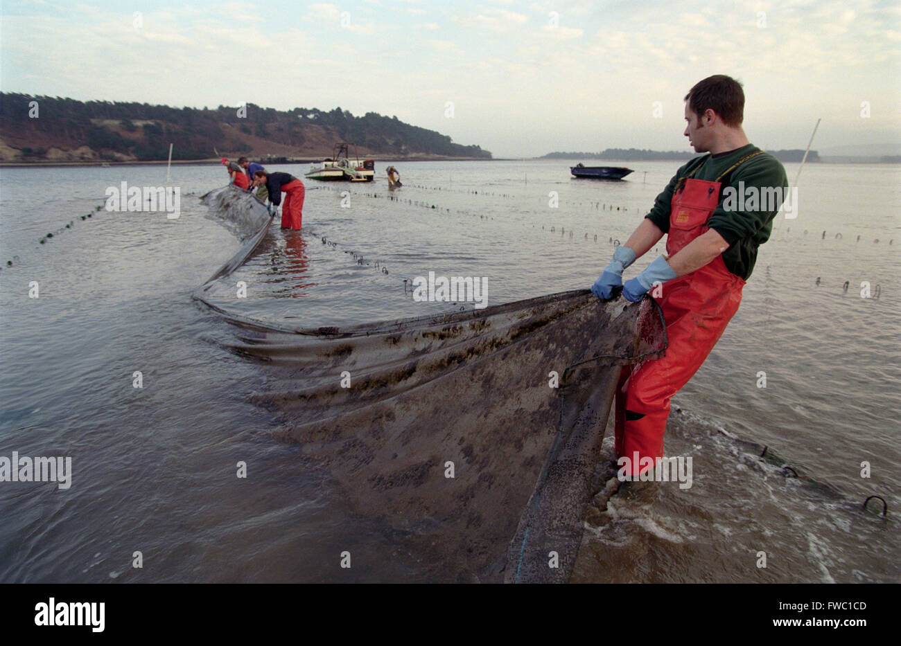 Net cockles hi-res stock photography and images - Alamy