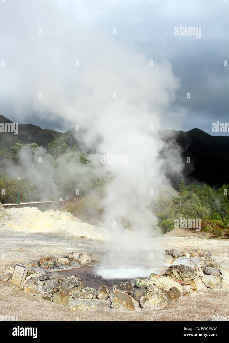 Geothermal hot springs (Caldeiras) in Furnas, Sao Miguel island, Azores ...