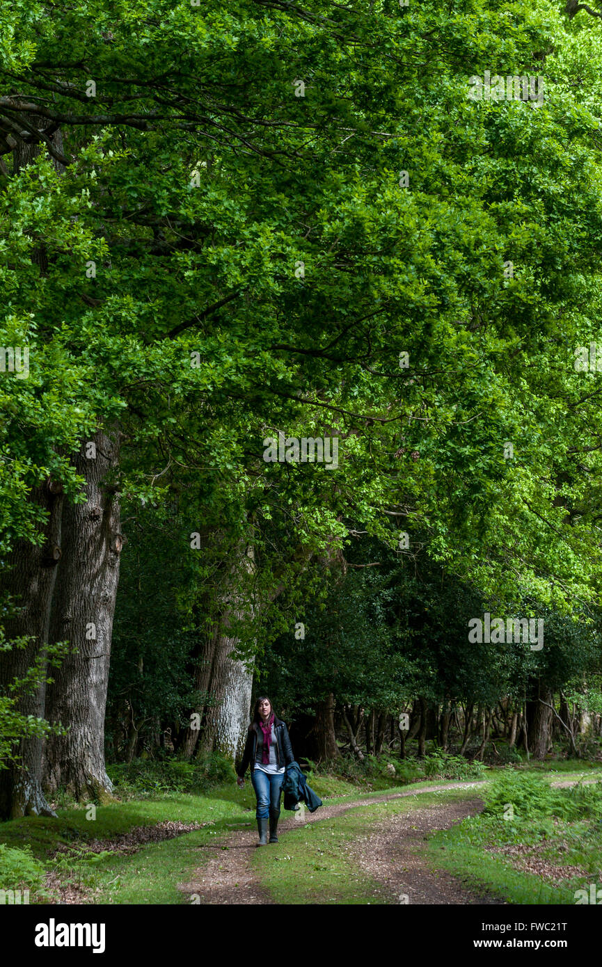 Anne Tipton, wife of novelist Ross Raisin in the New Forest, near ...
