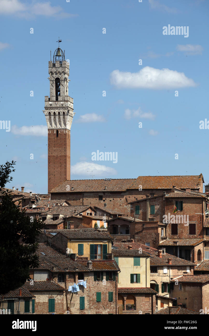 The renaissance city Sienna Stock Photo - Alamy