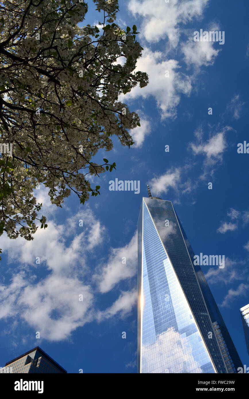 World Trade Center Tower One Stock Photo - Alamy
