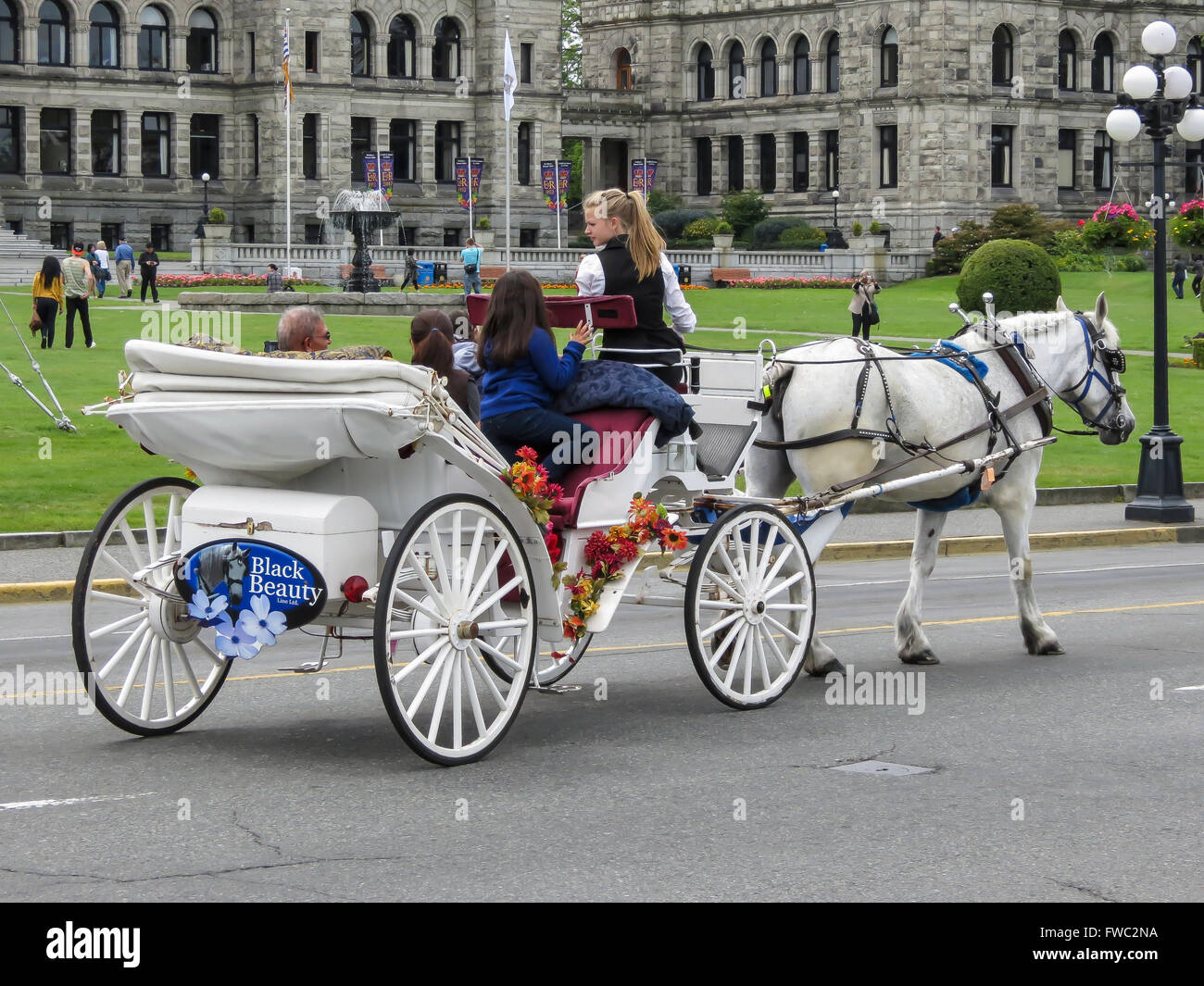 Horse and Carriage, Victoria, Canada Stock Photo - Alamy