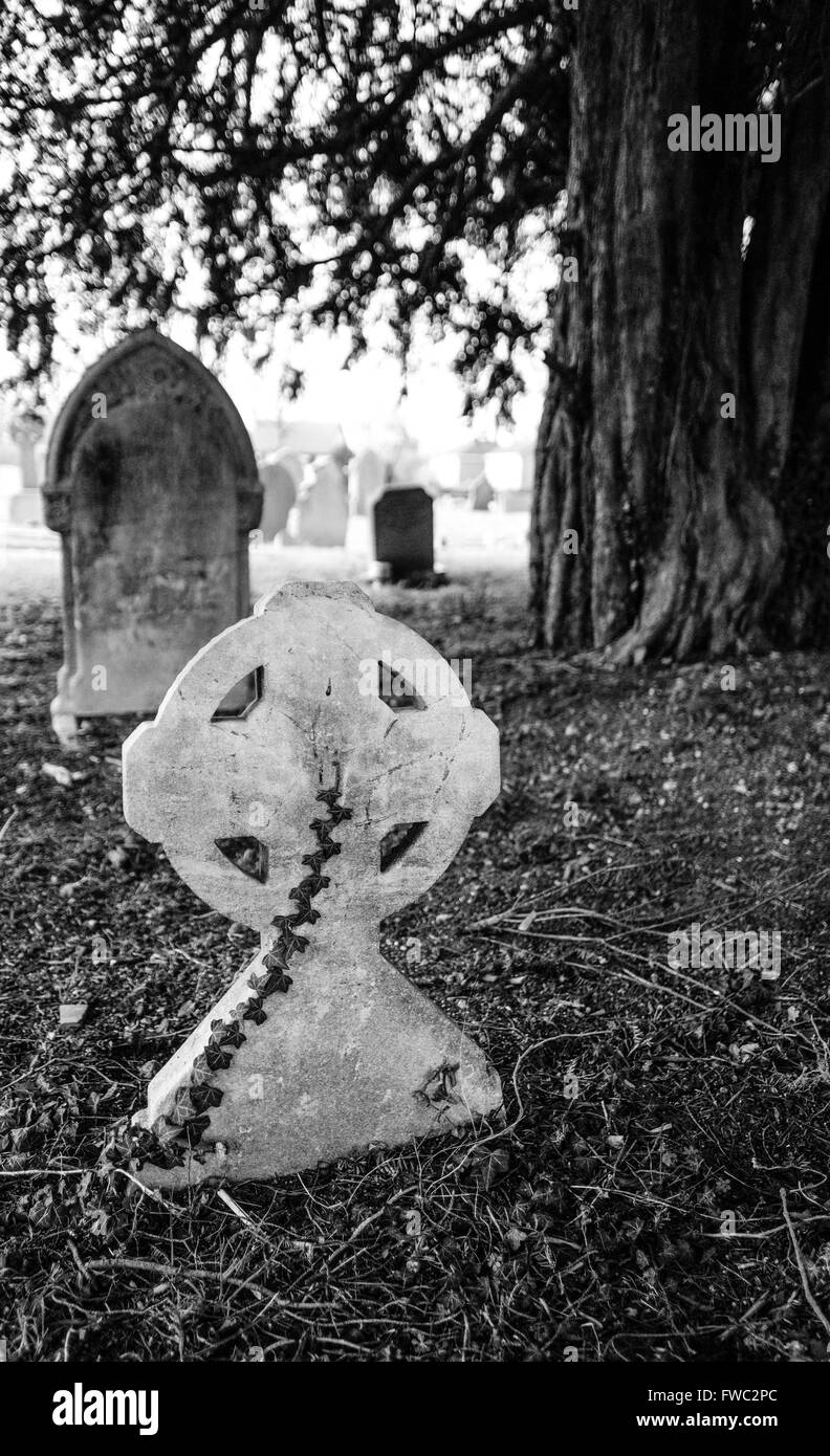 Graves and tombs seen in a famous English cemetery Stock Photo - Alamy