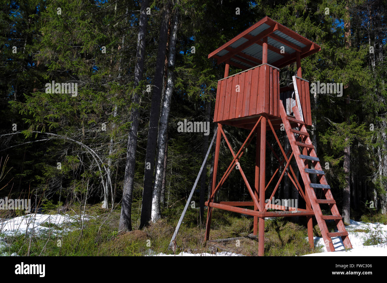 Red wooden hunting tower used for moose hunting in the North of Sweden ...