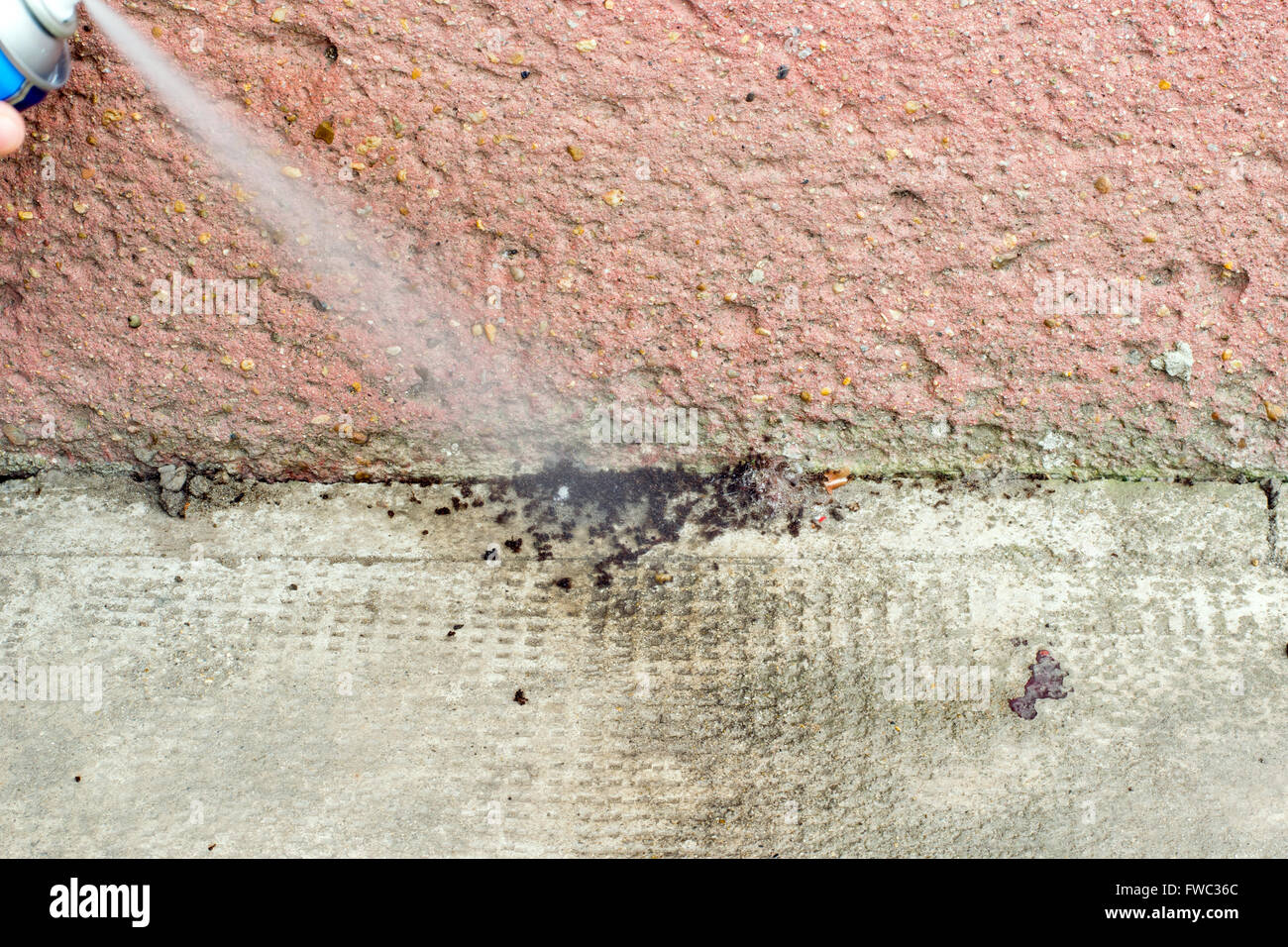 Exterminating insects hi-res stock photography and images - Alamy