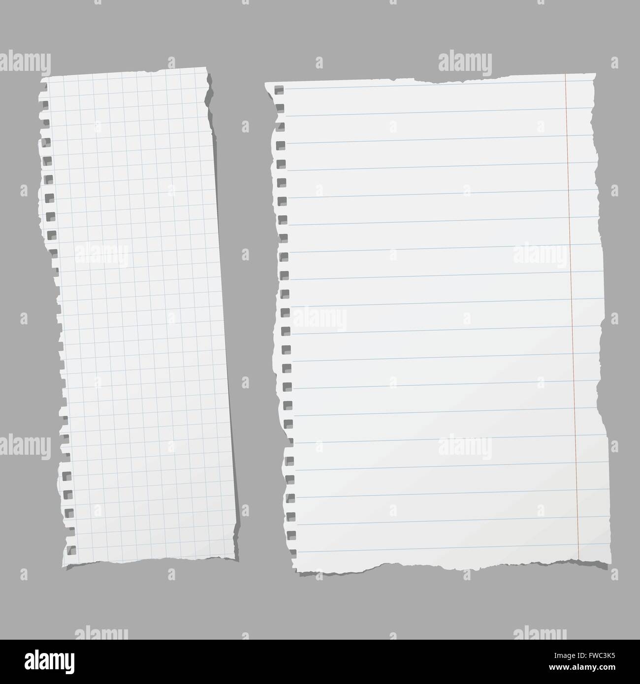 Pieces of torn white lined and squared notebook paper on gray ...