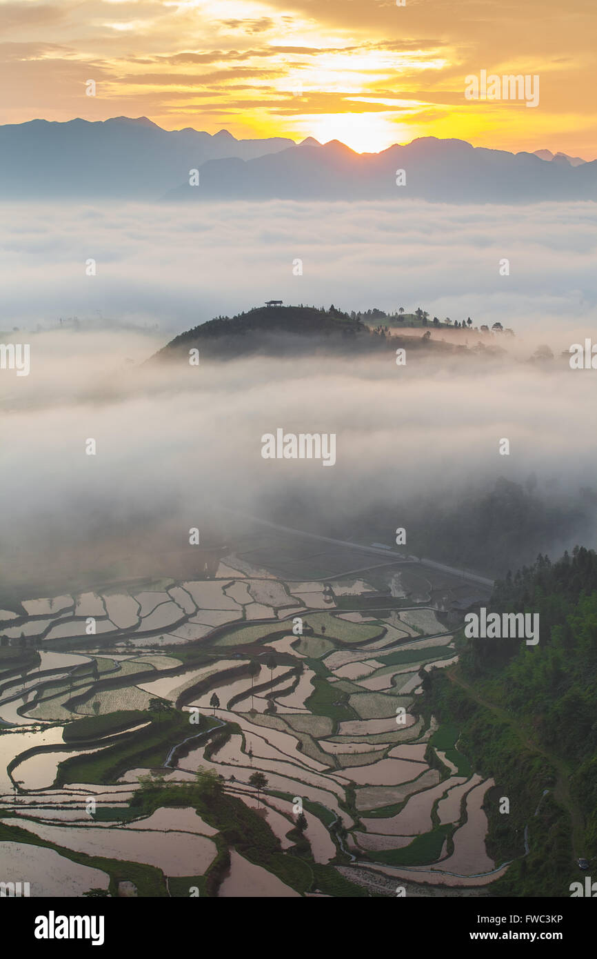 Myanmar rice field house hi-res stock photography and images - Alamy
