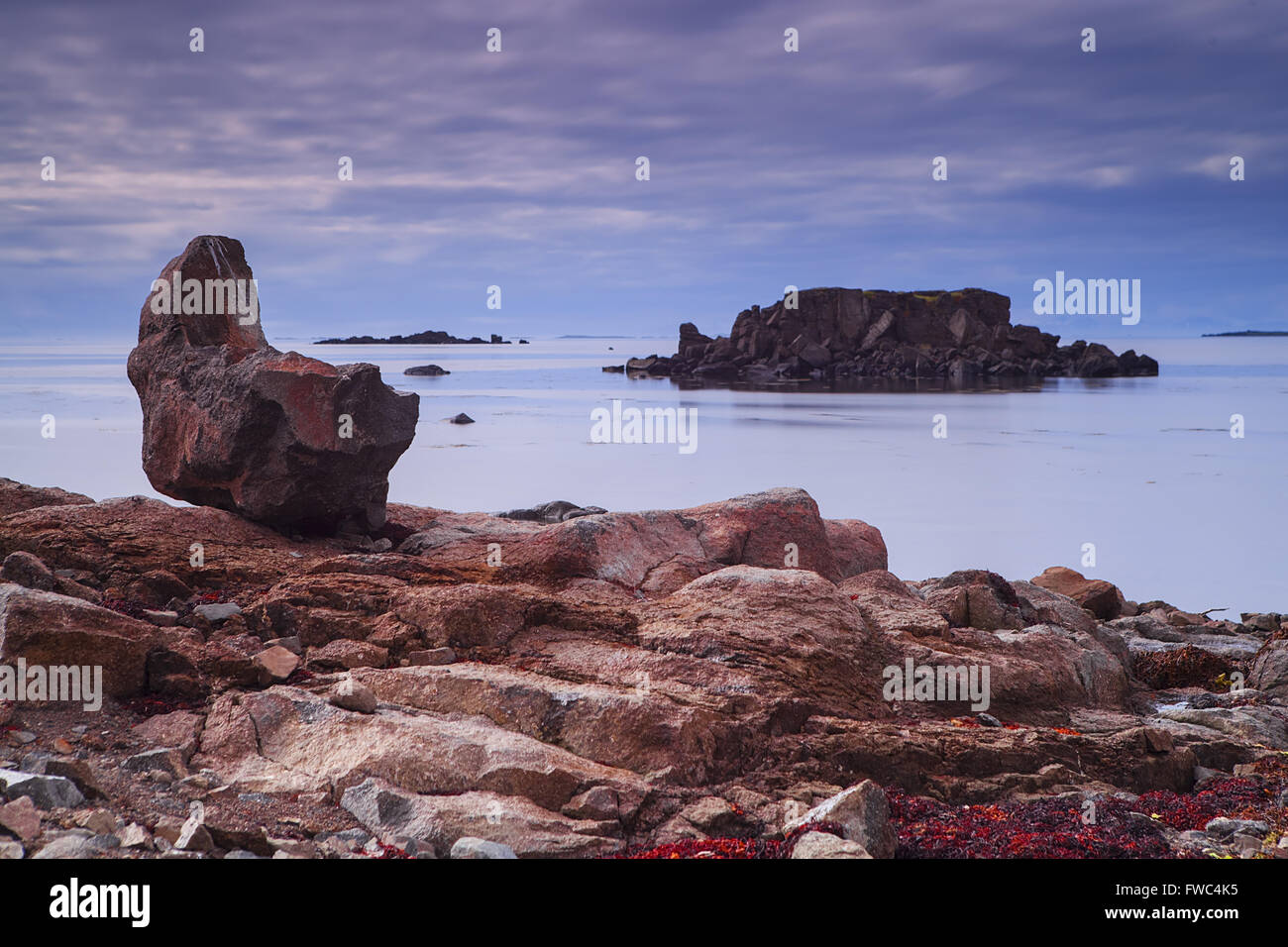 Seal bay, of Westfjords, Iceland Stock Photo - Alamy