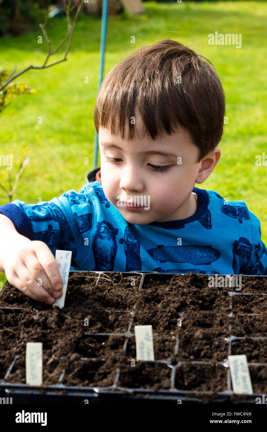 Asian boy gardening soil seed hi-res stock photography and images - Alamy