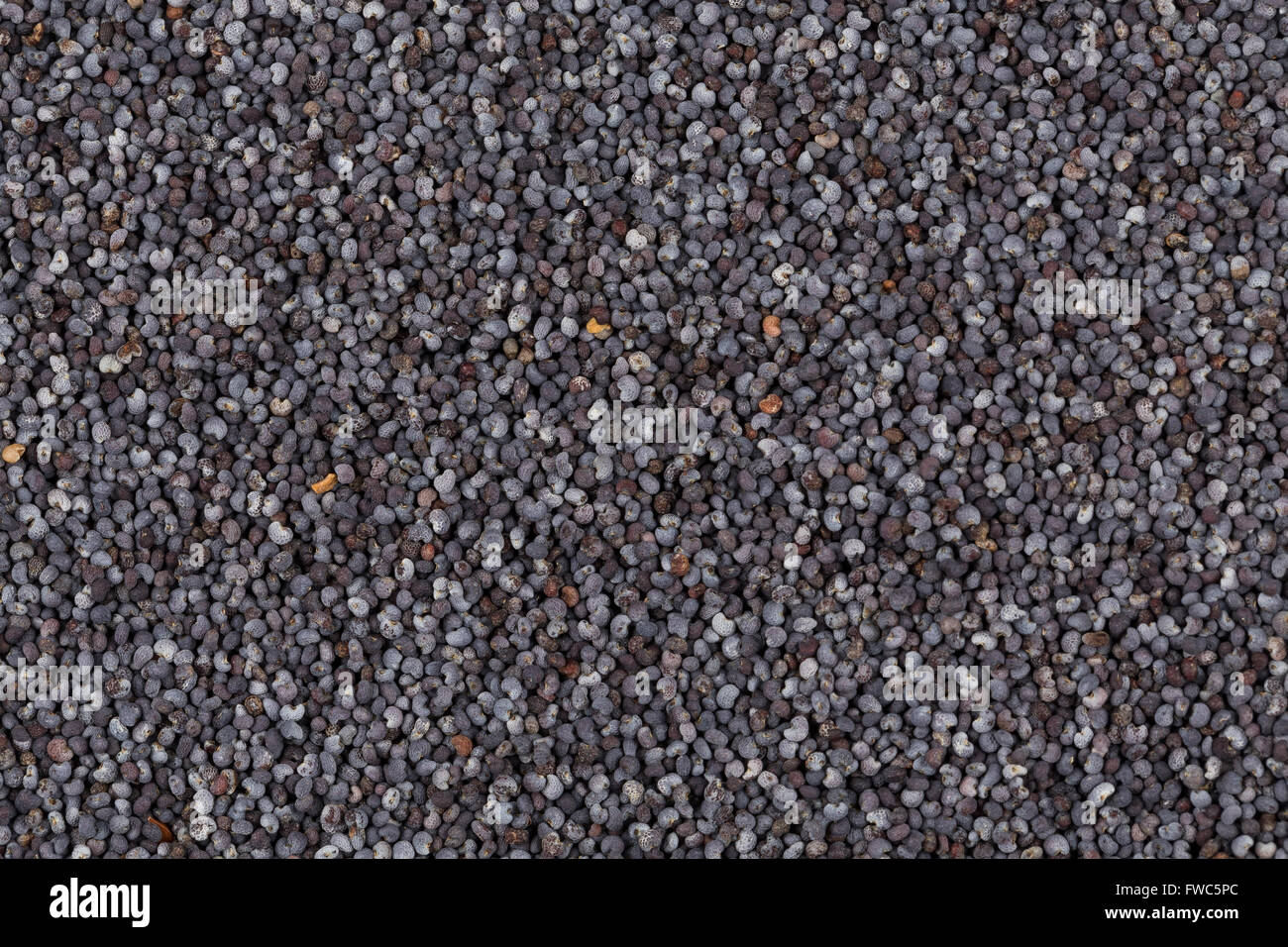 Poppy seeds close up image used for background Stock Photo - Alamy