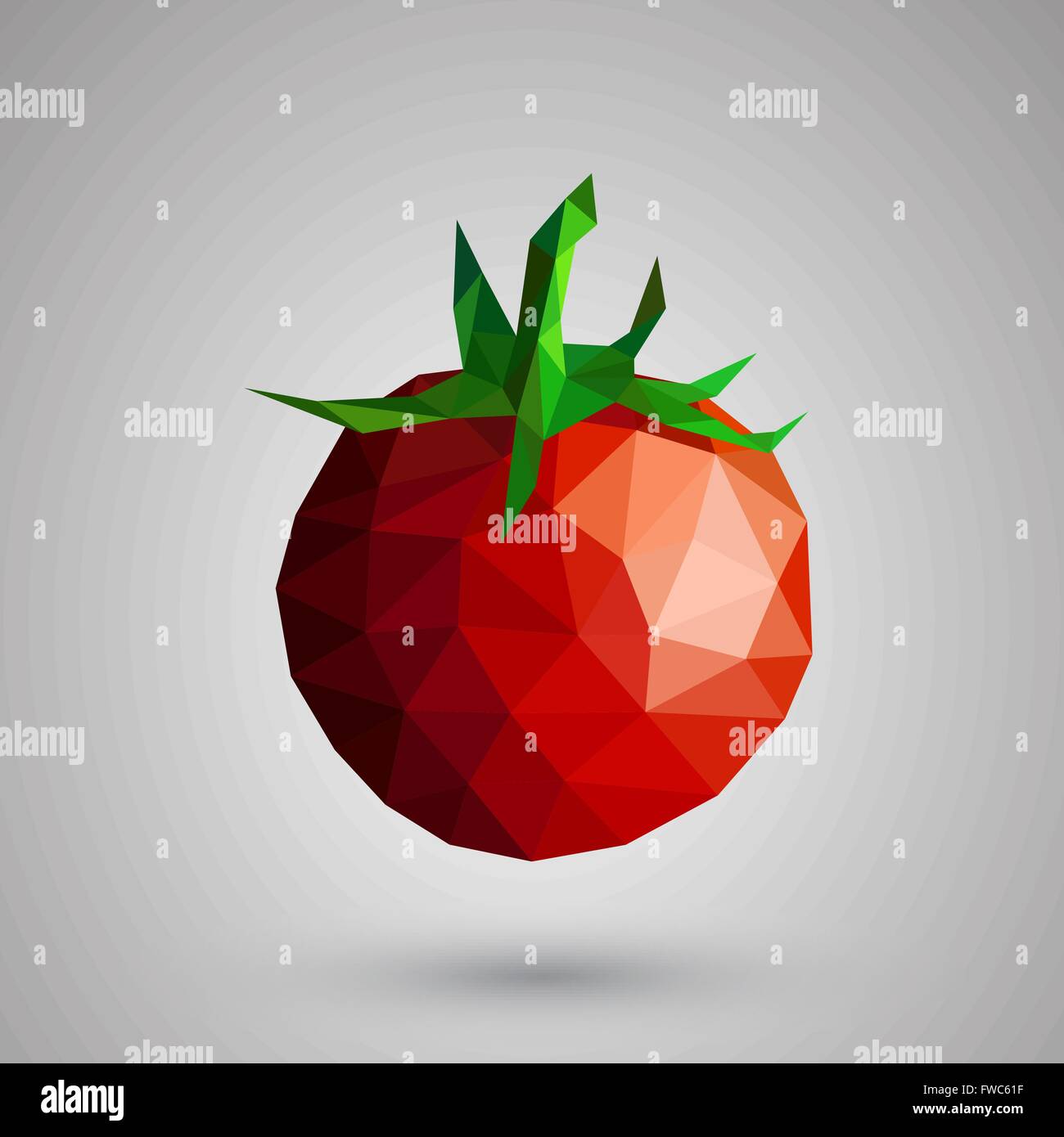 Tomato plants healthy vegetables geometric illustration Stock Vector ...