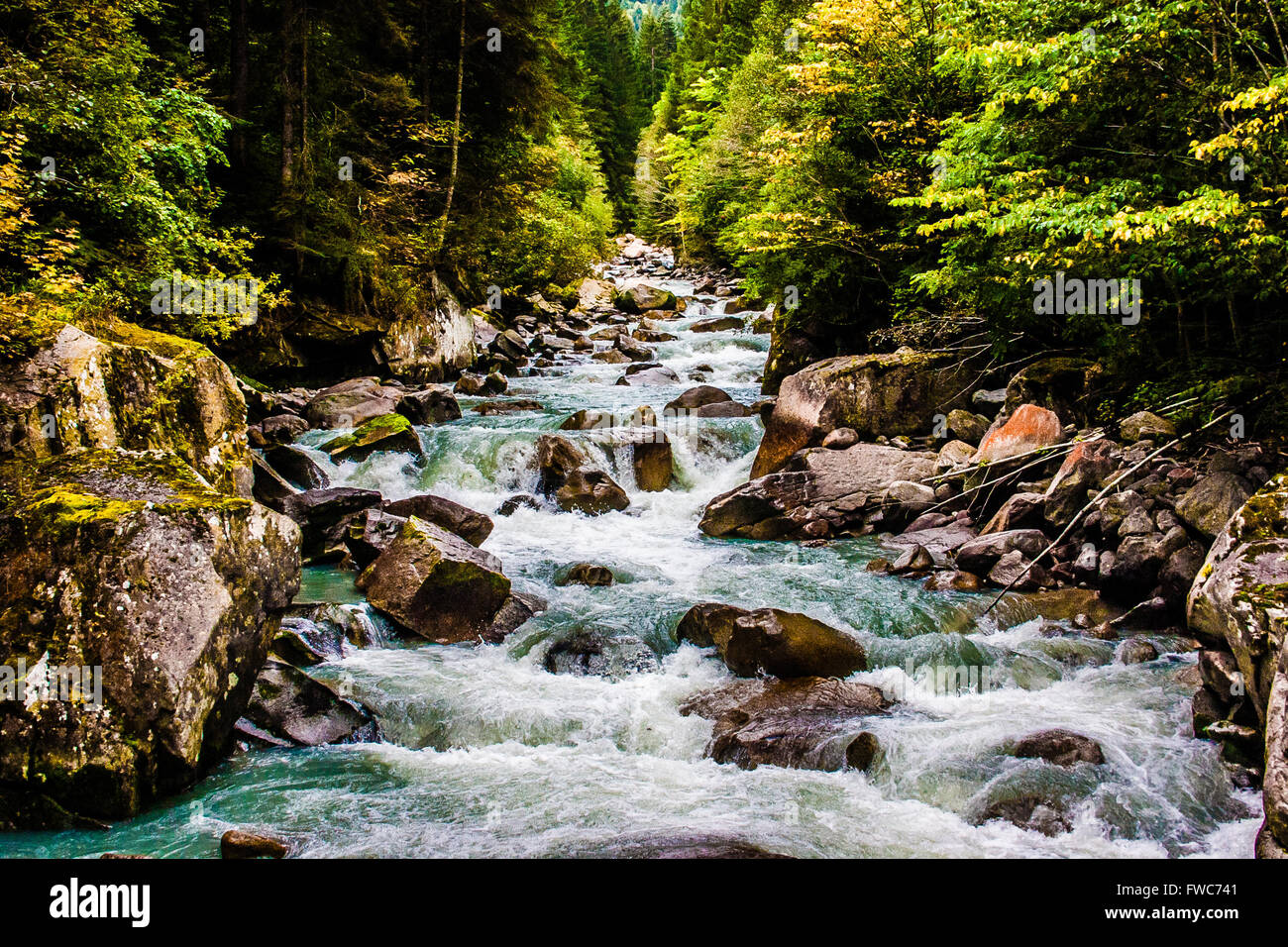 Tributary of the Sarca river of Val di Genova; Trentino-Alto-Adige ...