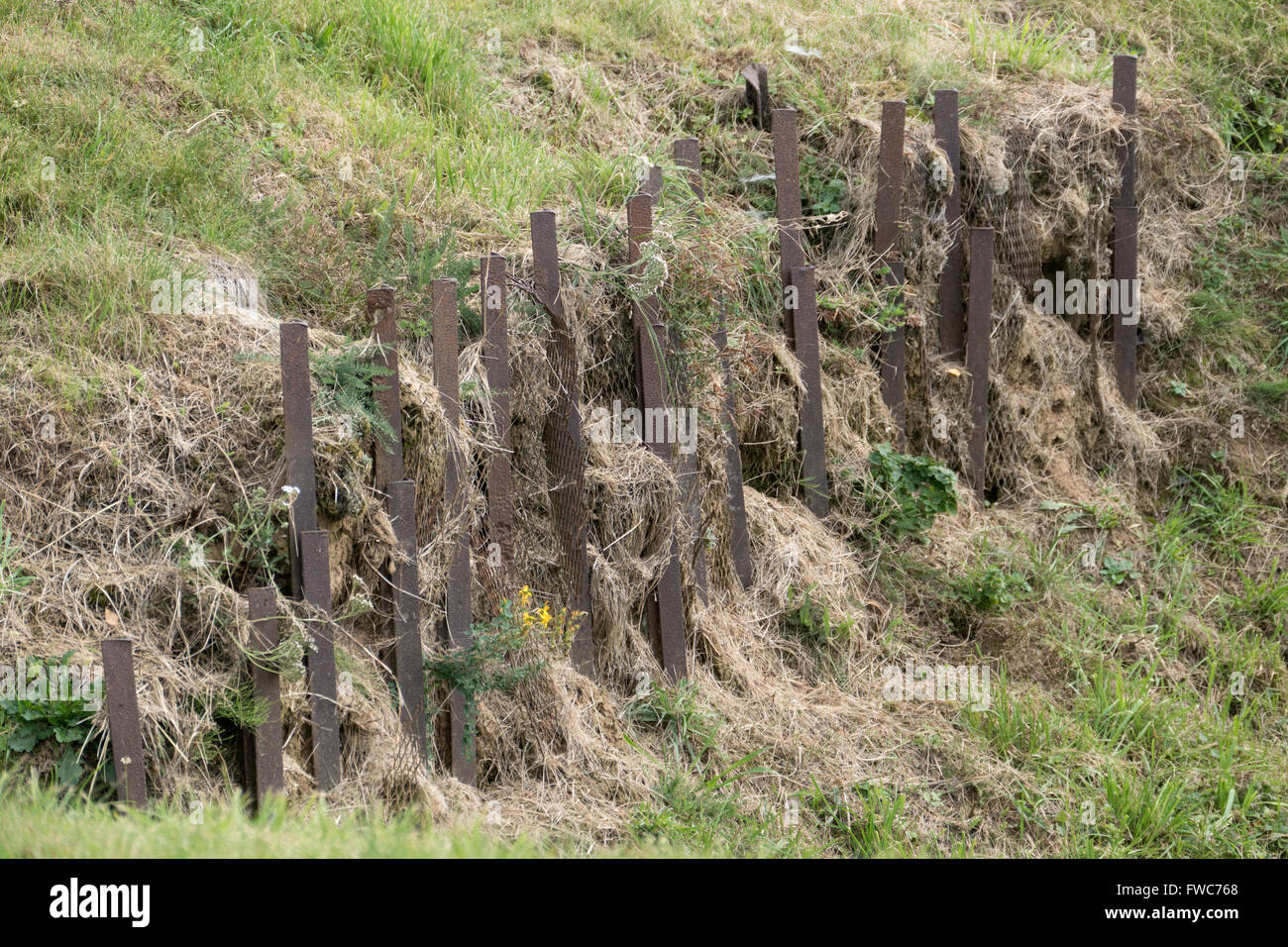 Remains of German army trenches used during The Battle of the Somme ...