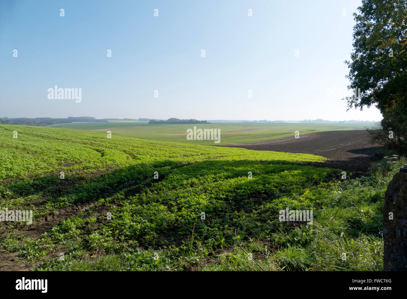 Battle of Waterloo - Henry Paget, 2nd Earl of Uxbridge led a charge of ...