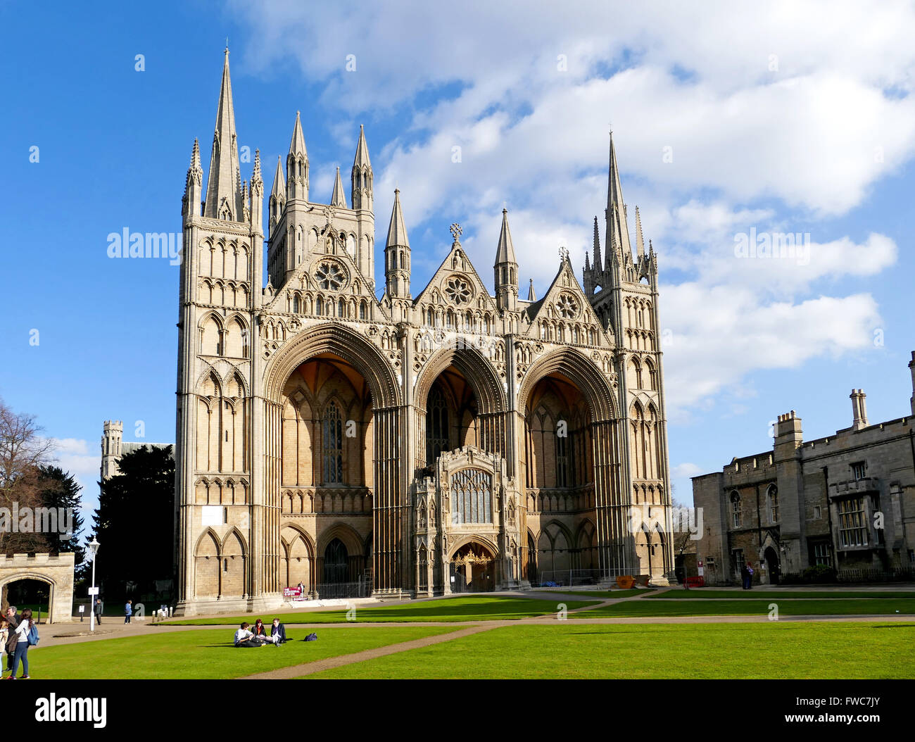 Peterborough Cathedral, Peterborough, Cambridgeshire, England Stock ...