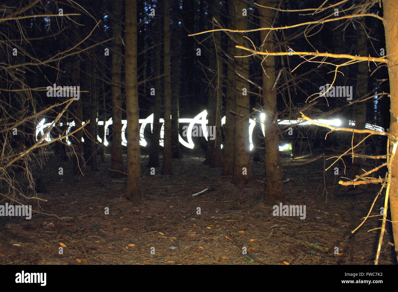 Light trail through the trees Stock Photo - Alamy