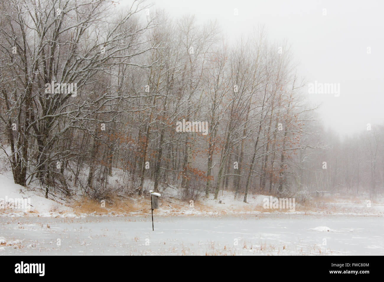 White out snowstorm hi-res stock photography and images - Alamy