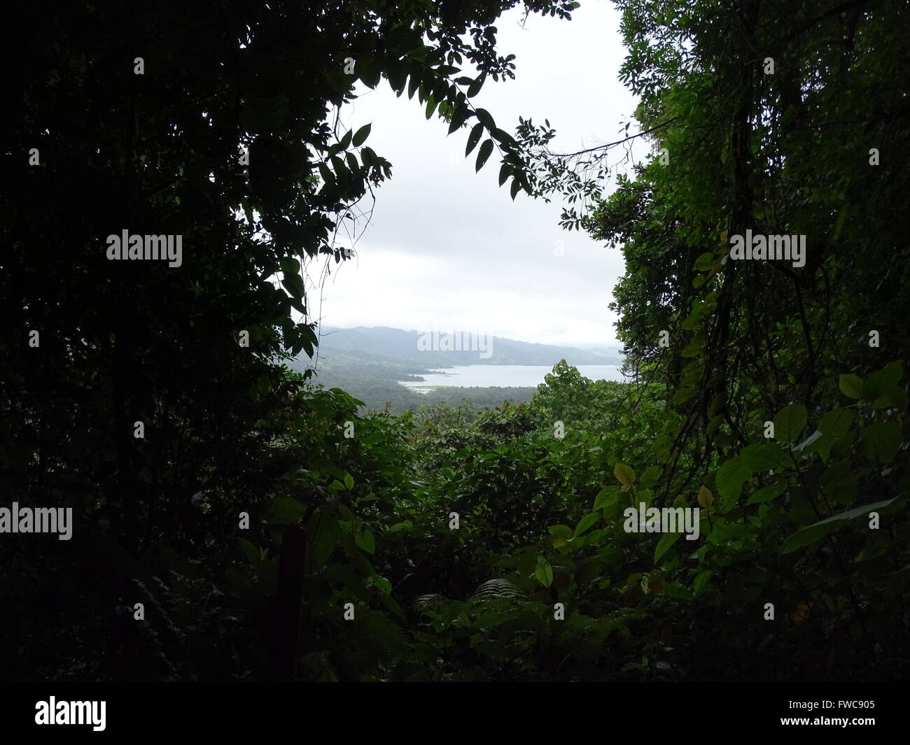 Nature of costa rica hi-res stock photography and images - Alamy