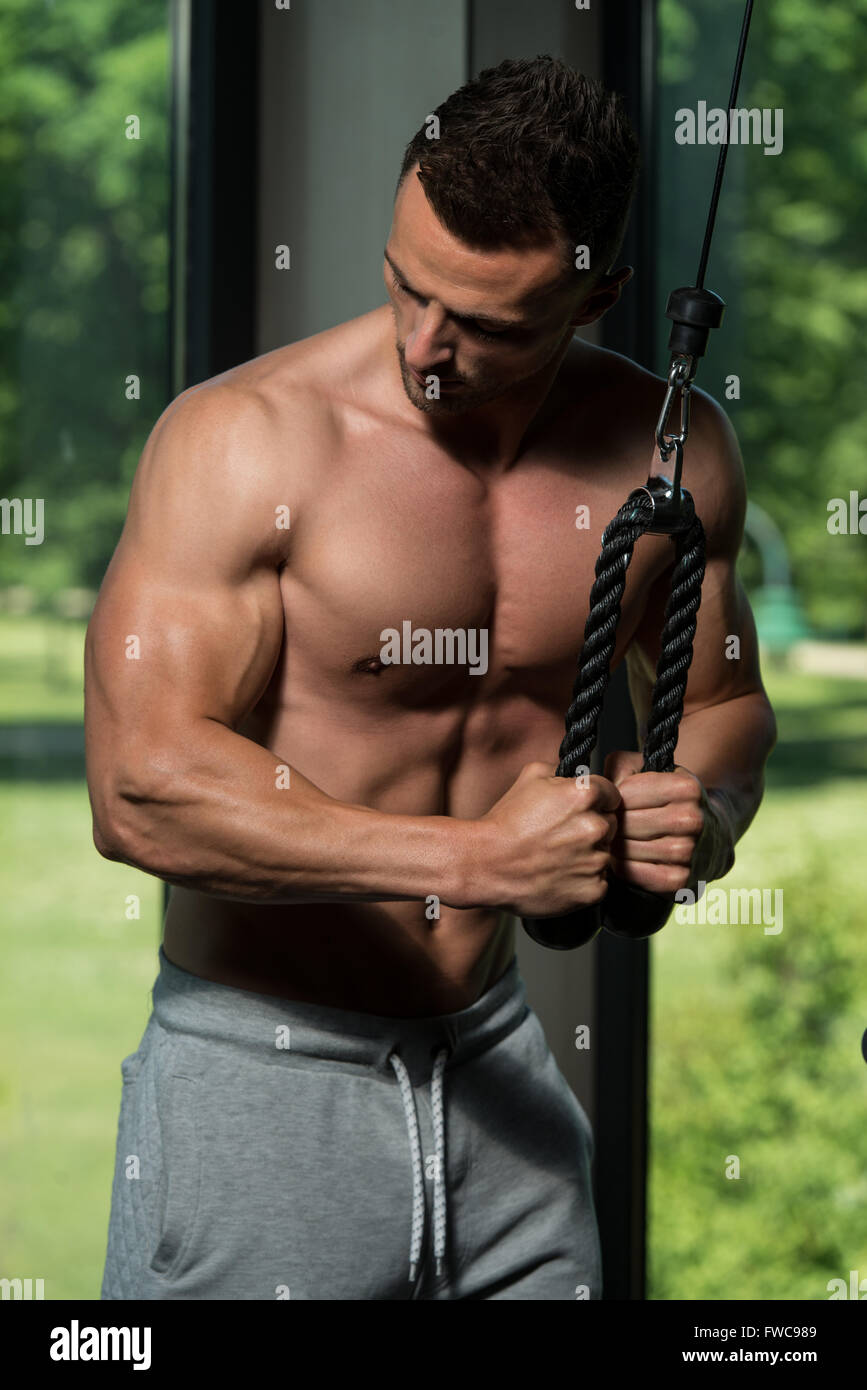 Muscular Young Man Bodybuilder Doing Heavy Weight Exercise For Triceps ...