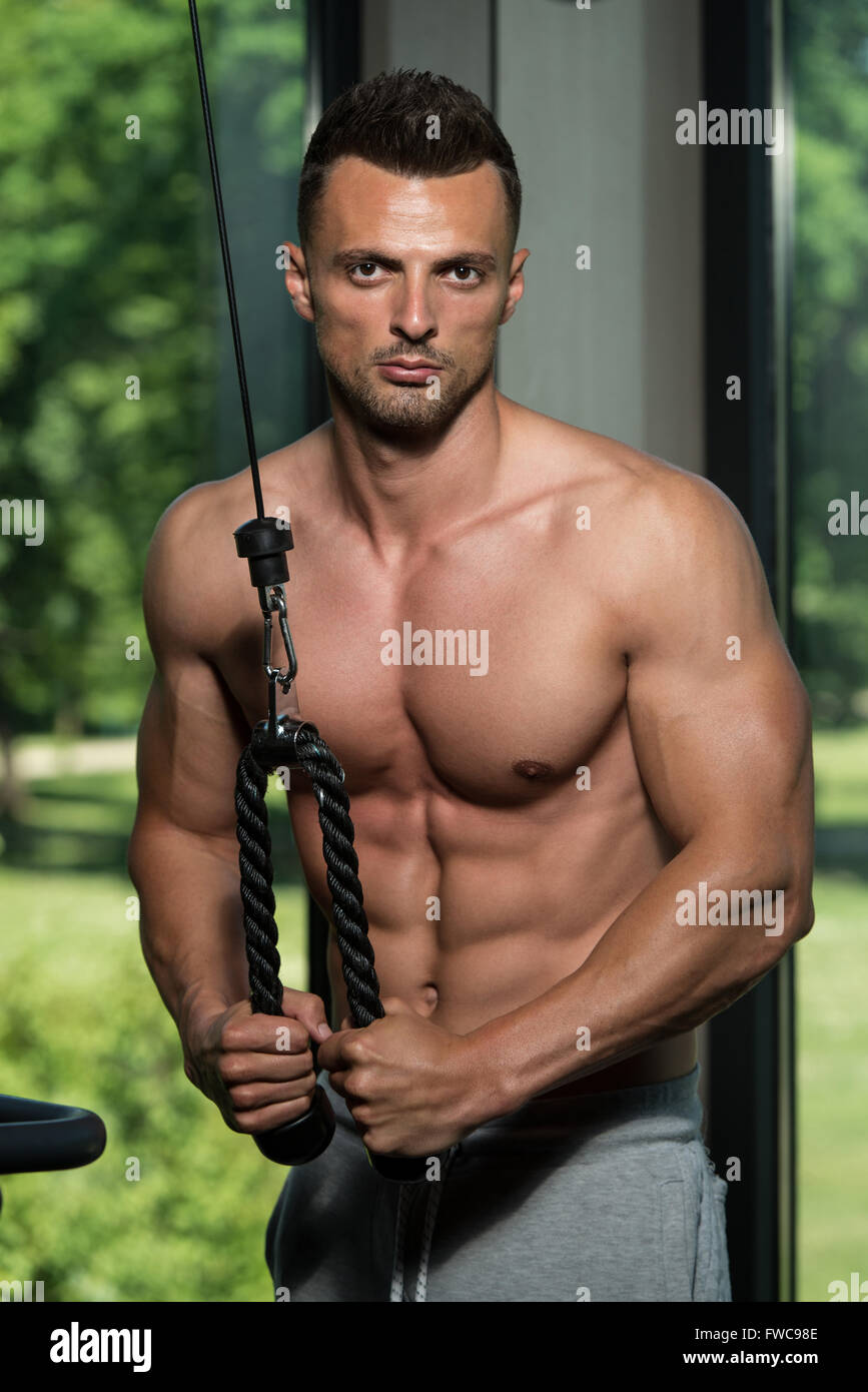 Muscular Young Man Bodybuilder Doing Heavy Weight Exercise For Triceps ...