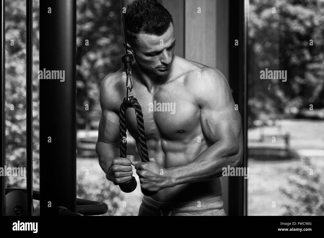 Muscular Young Man Bodybuilder Doing Heavy Weight Exercise For Triceps ...