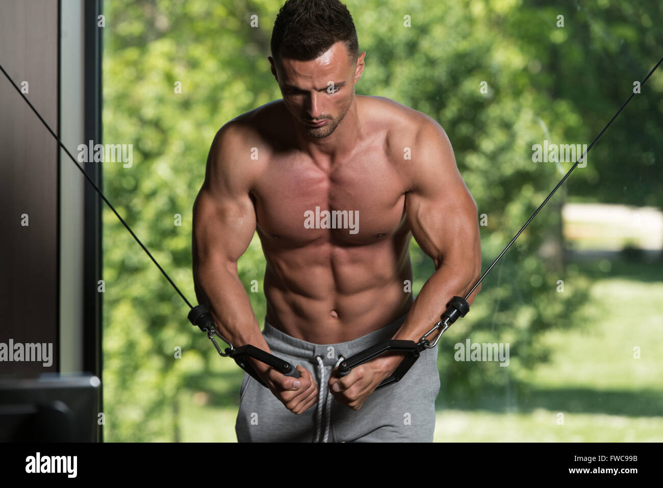Muscular Young Man Bodybuilder Doing Heavy Weight Exercise For Chest On ...