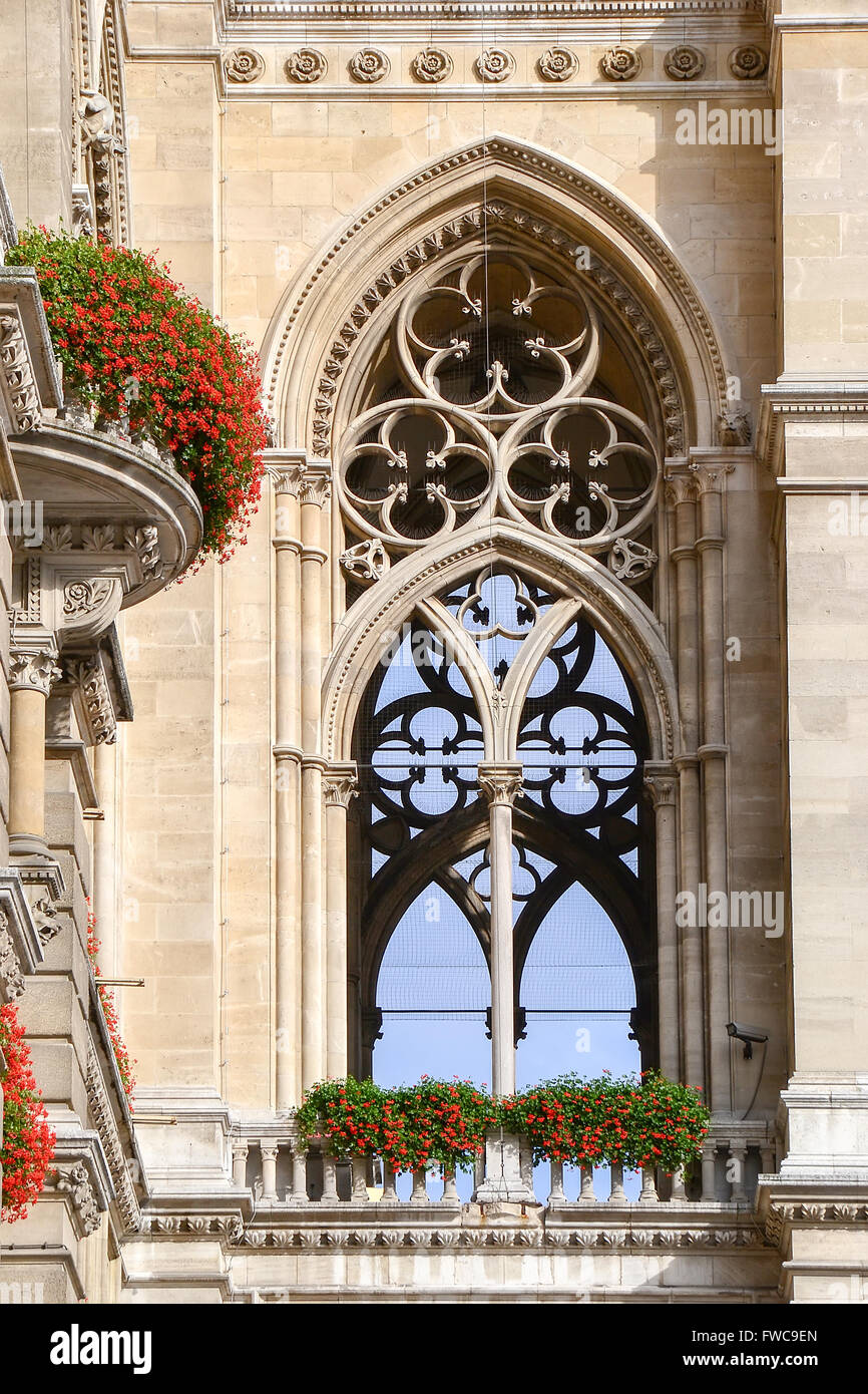 Vienna city hall - windows Stock Photo - Alamy