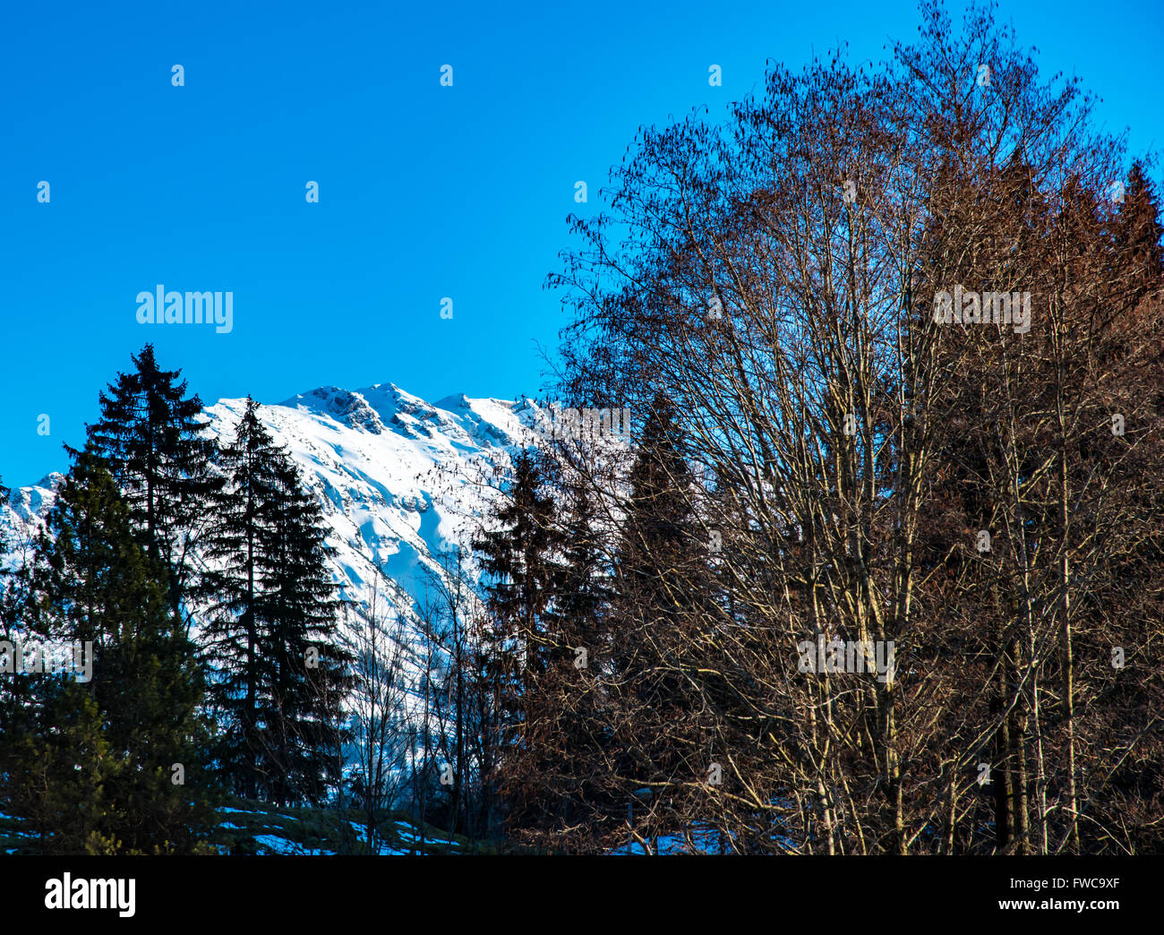 Spring mountain landscape Stock Photo - Alamy