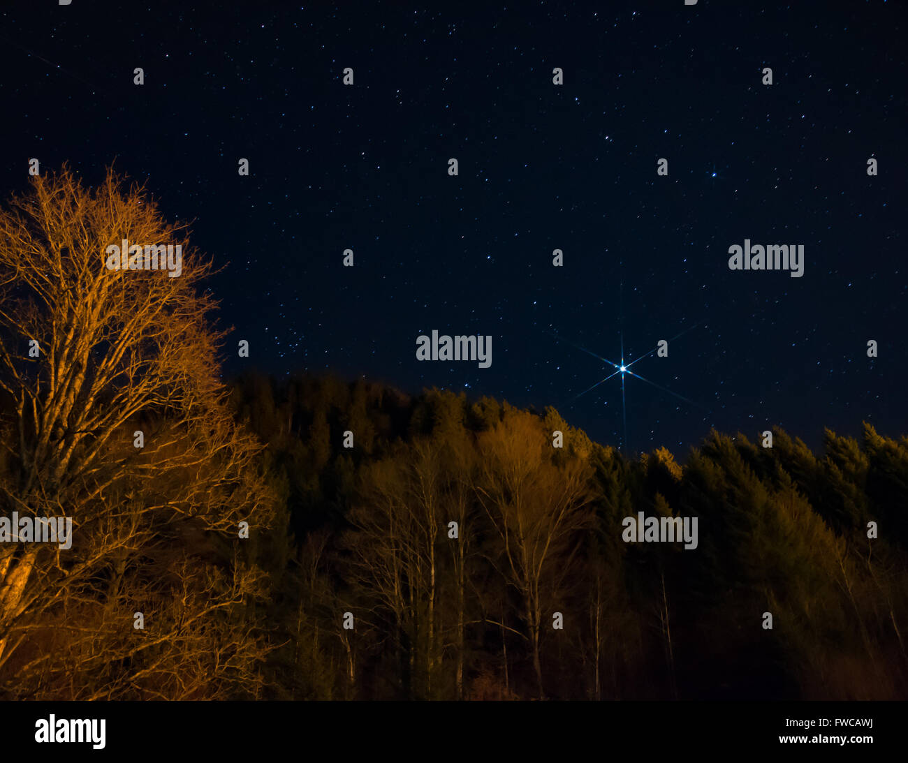 Sky tree night view hi-res stock photography and images - Alamy