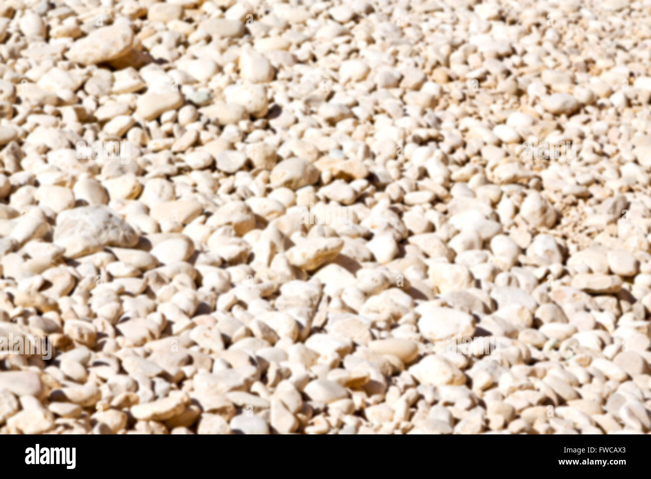 in the white and gray oman dry bush rock alone blurred Stock Photo - Alamy