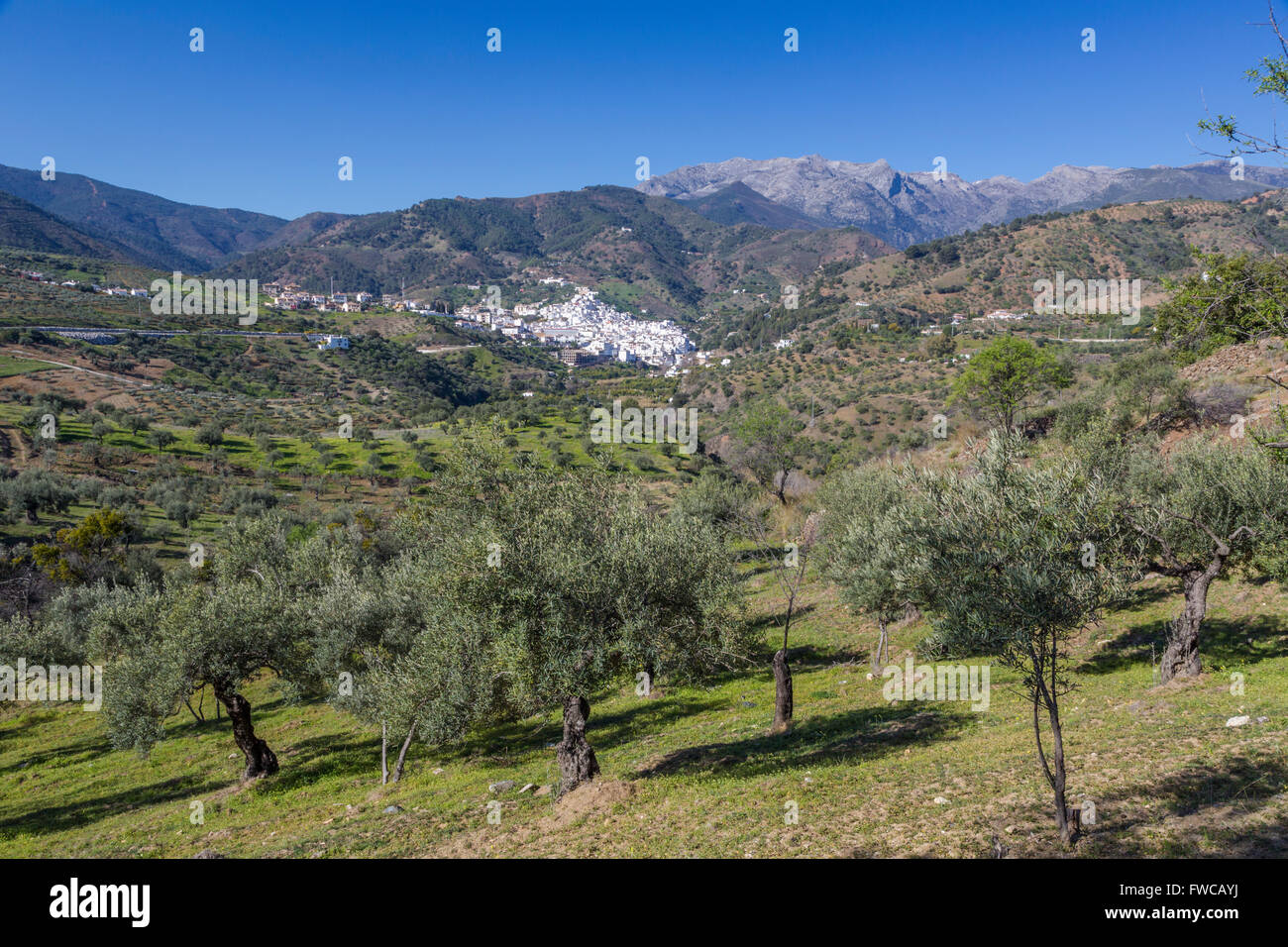 Tolox, Malaga Province, Andalusia, southern Spain. Typical white-washed ...