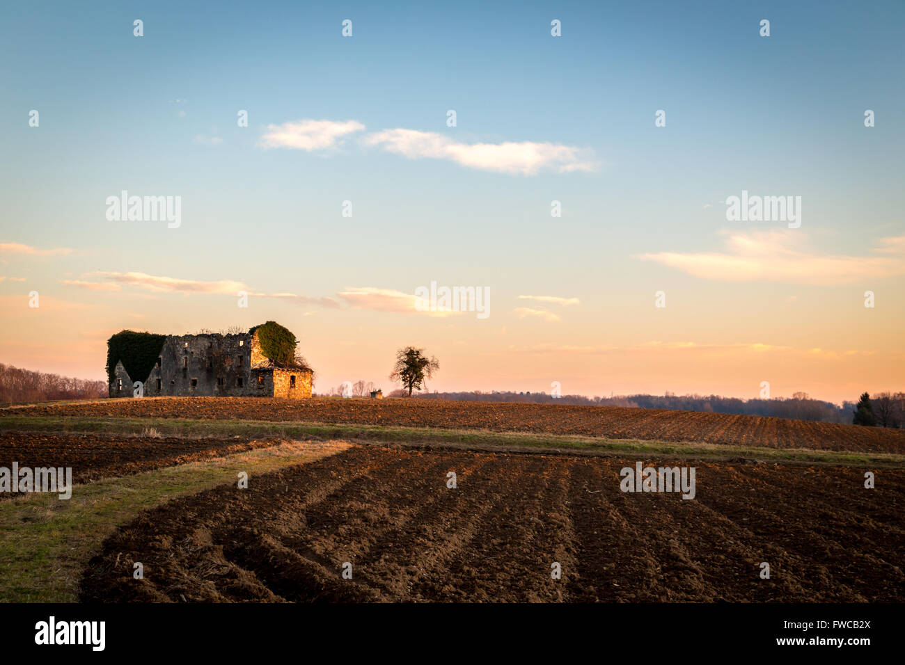an abandoned and ruined farm in the fields of Italy Stock Photo - Alamy