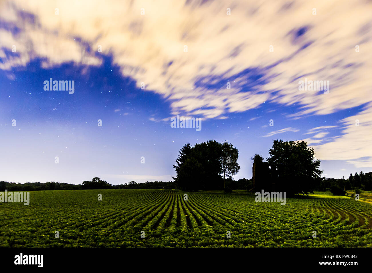 an abandoned and ruined farm in the fields of Italy Stock Photo - Alamy