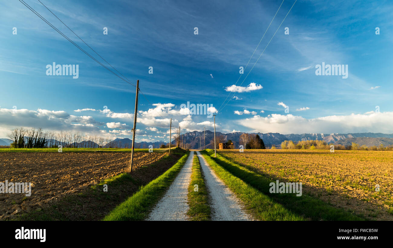 an abandoned and ruined farm in the fields of Italy Stock Photo - Alamy