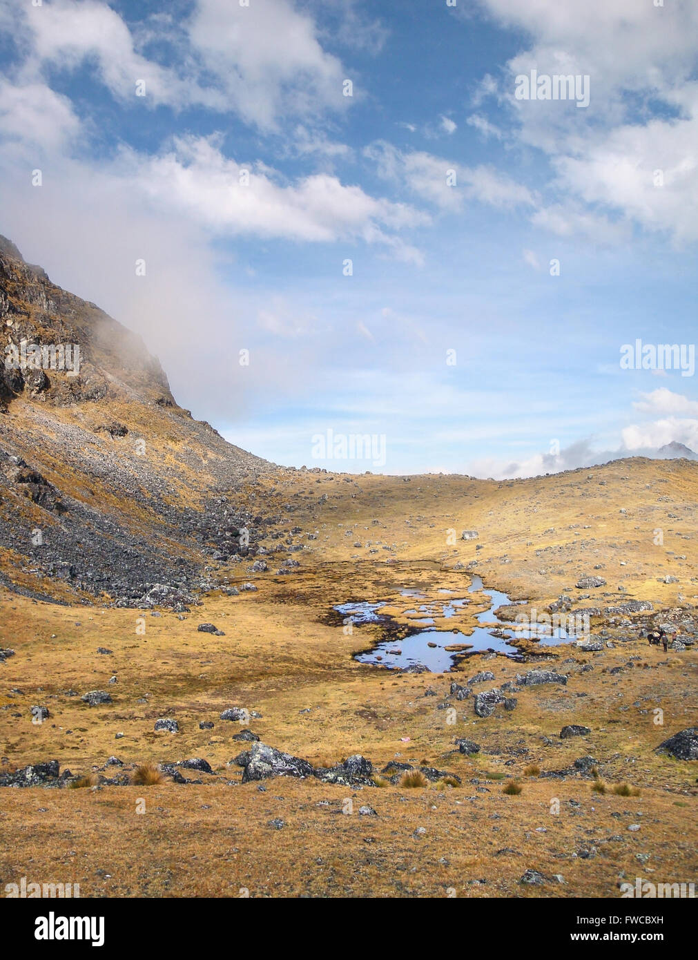 Andes scenery hi-res stock photography and images - Alamy