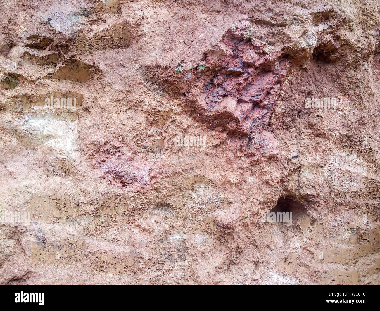 Clay Loam Soil Stock Photos & Clay Loam Soil Stock Images - Alamy