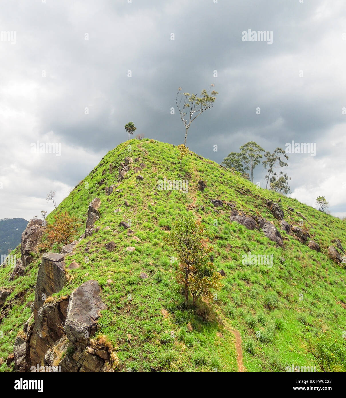 overgrown hilly scenery in Sri Lanka Stock Photo - Alamy